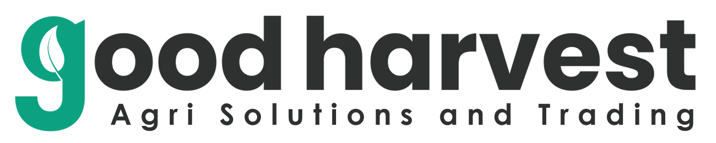 Sesame Seeds – Good Harvest